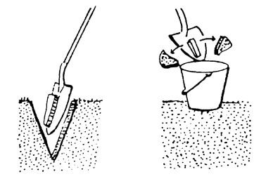 How to obtain a soil sample - Soil Foods